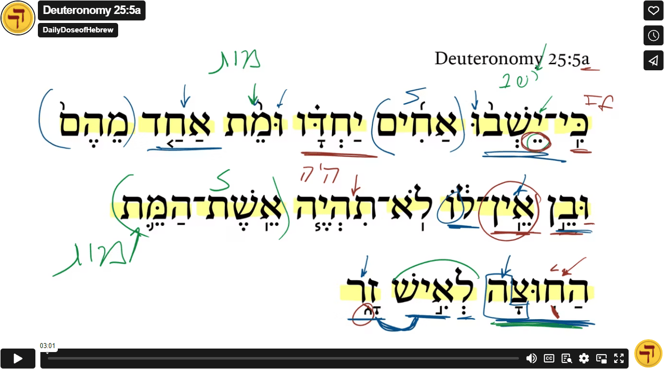 Deuteronomy 25:5a | Daily Dose of Hebrew