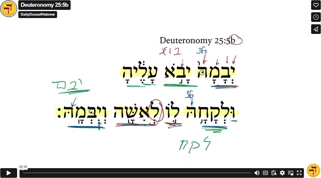 Deuteronomy 25:5b | Daily Dose of Hebrew