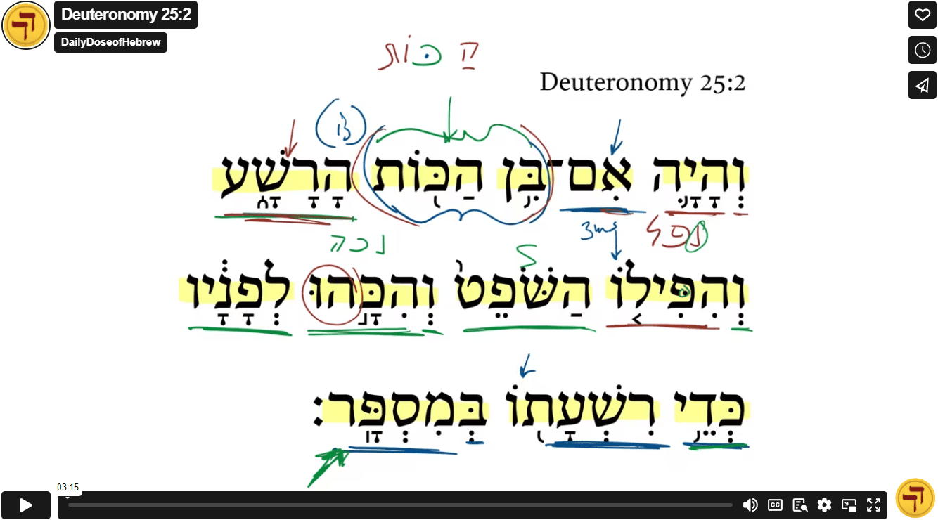 Deuteronomy 25:2 | Daily Dose of Hebrew