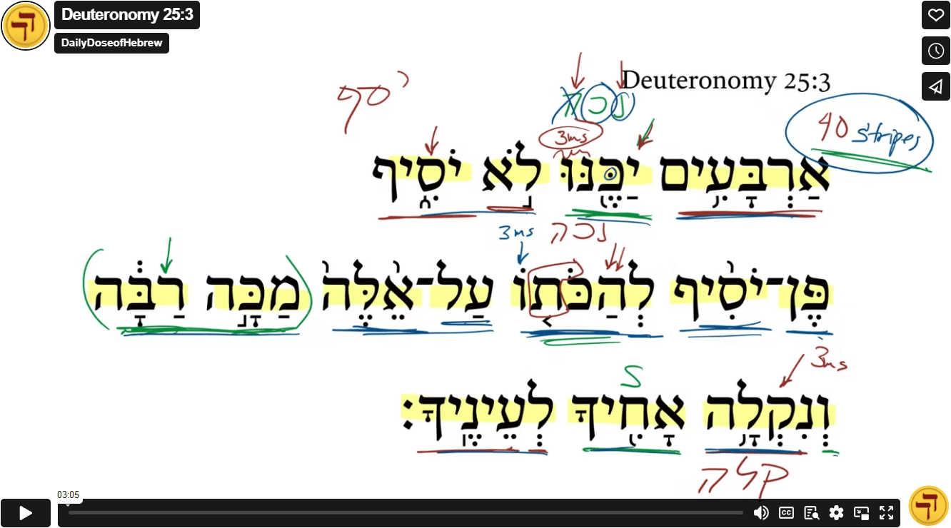 Deuteronomy 25:3 | Daily Dose of Hebrew