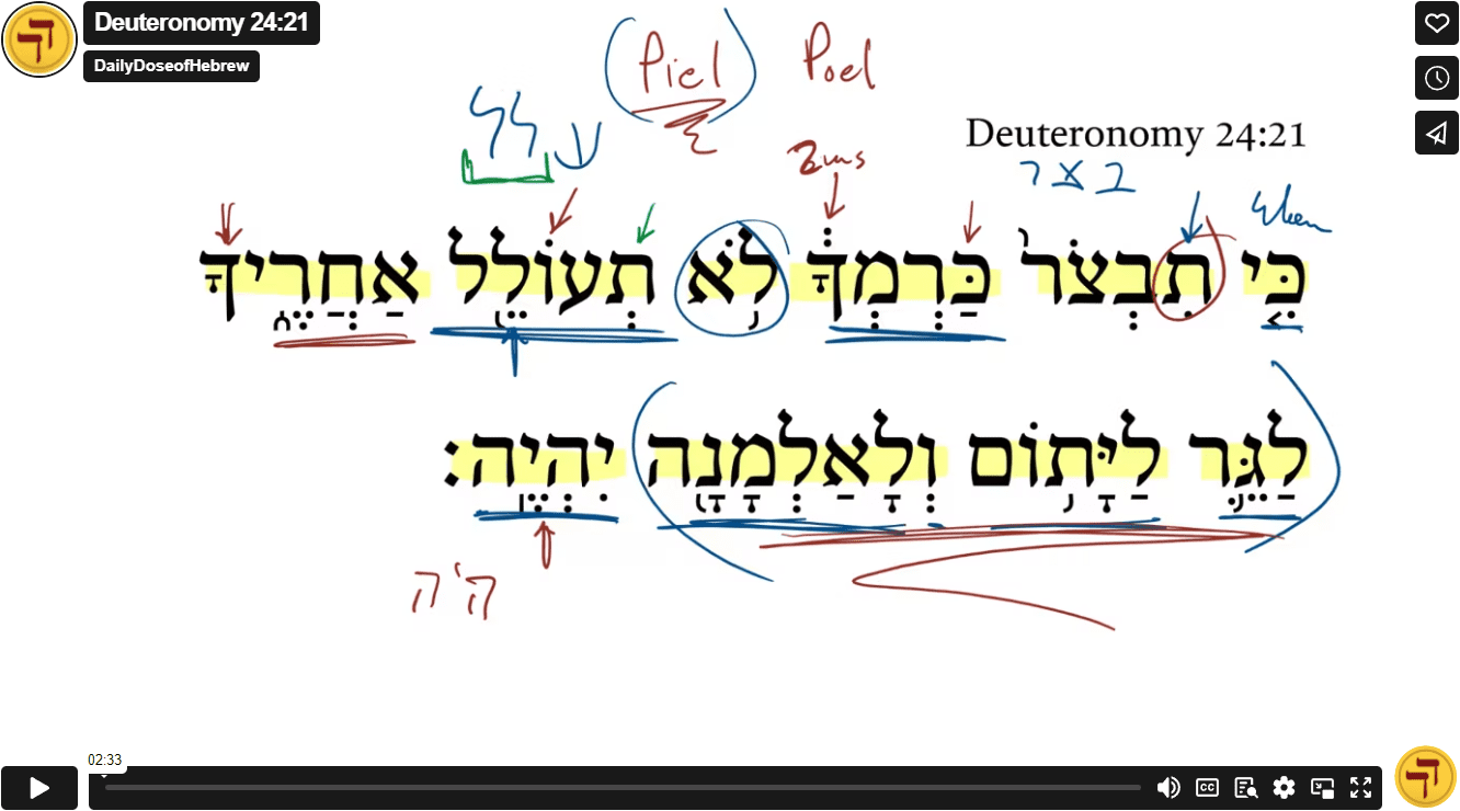 Deuteronomy 24:21 | Daily Dose of Hebrew