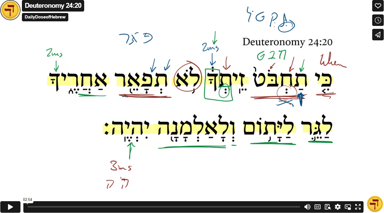 Deuteronomy 24:20 | Daily Dose of Hebrew