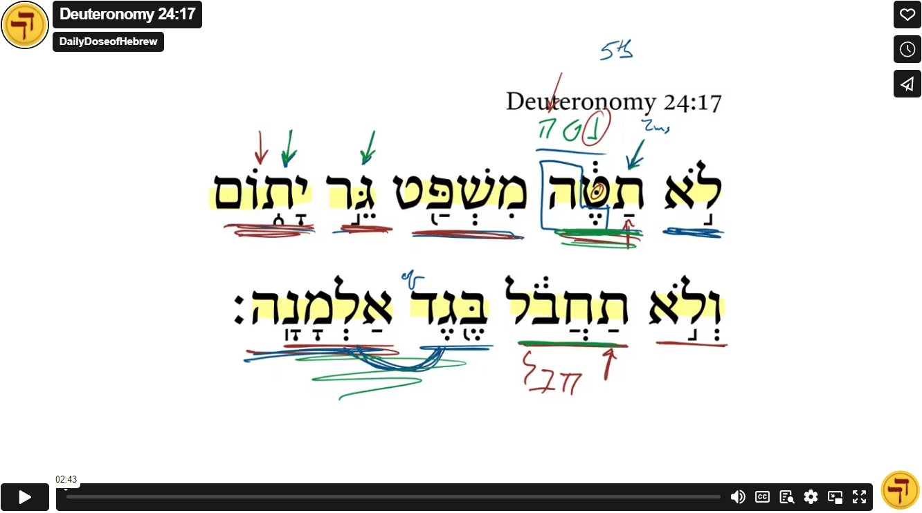 Deuteronomy 24:17 | Daily Dose of Hebrew