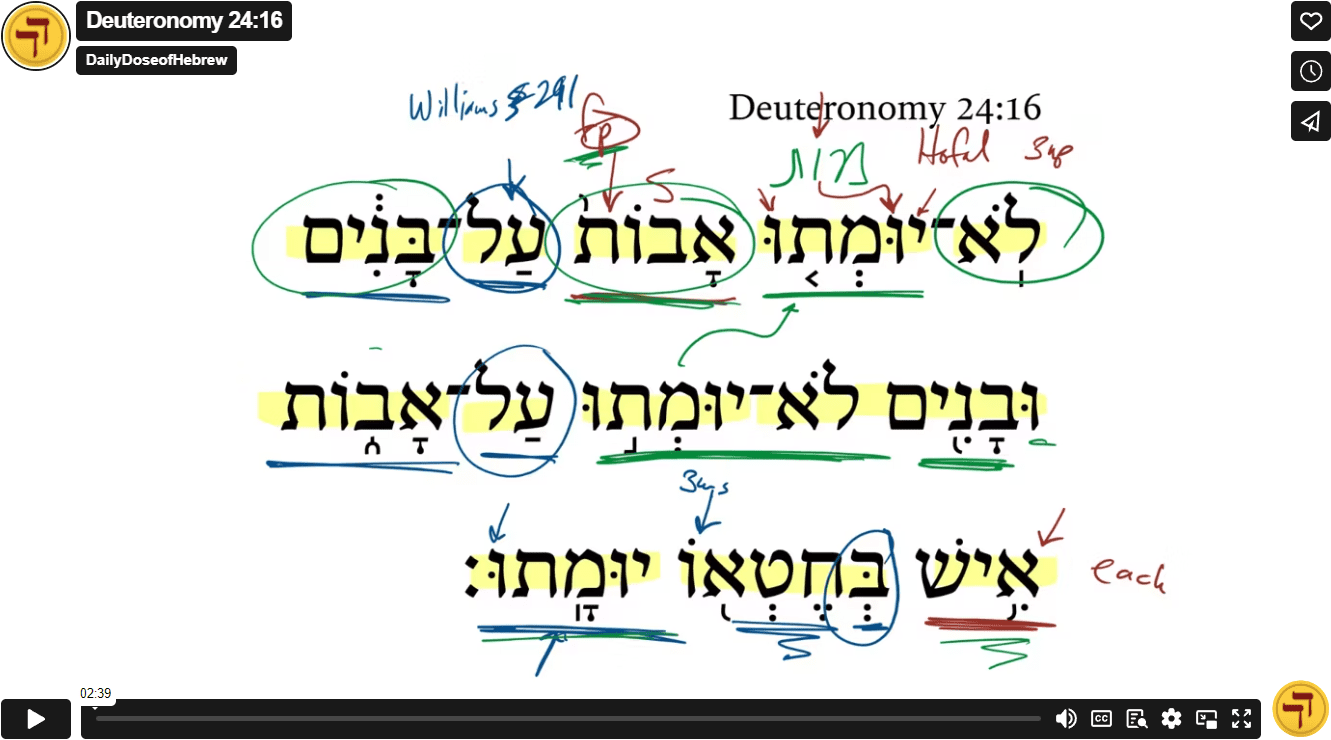 Deuteronomy 24:16 | Daily Dose of Hebrew