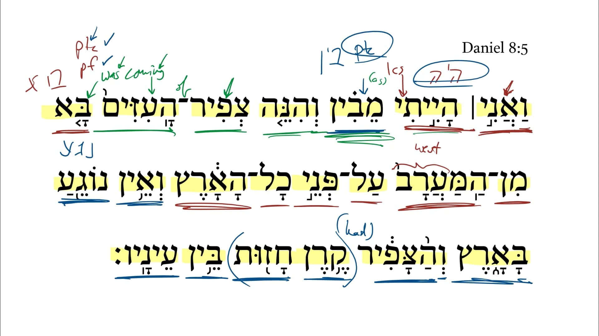 Daniel 8:5 | Daily Dose of Hebrew