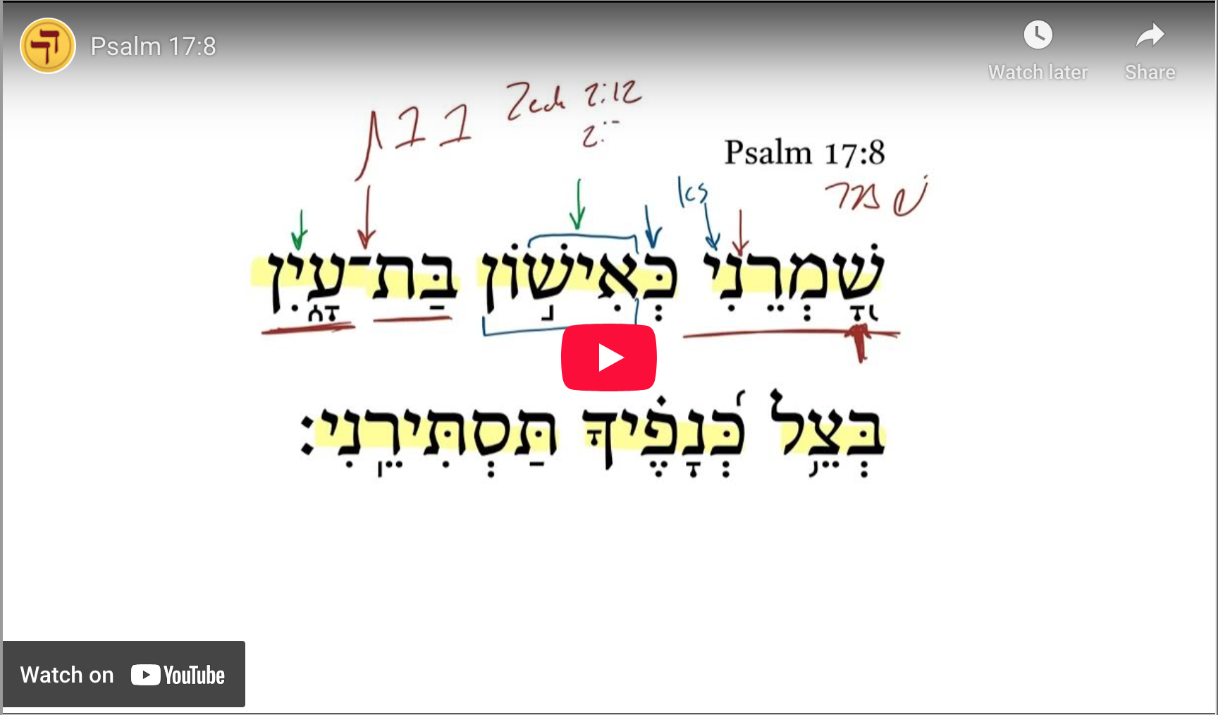 Psalm 17:8 | Daily Dose of Hebrew