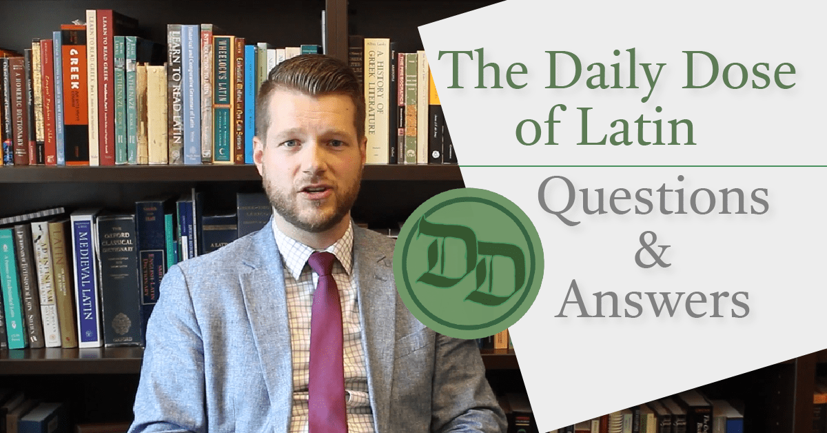 Latin Questions & Answers | Daily Dose of Latin
