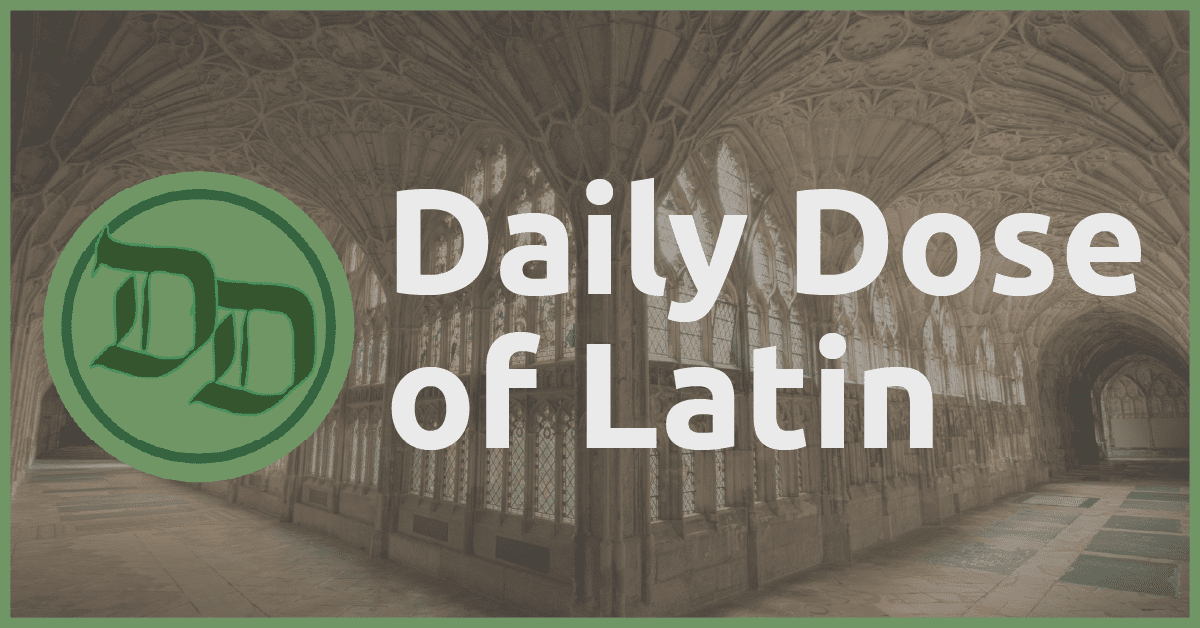 John 14 | Daily Dose of Latin