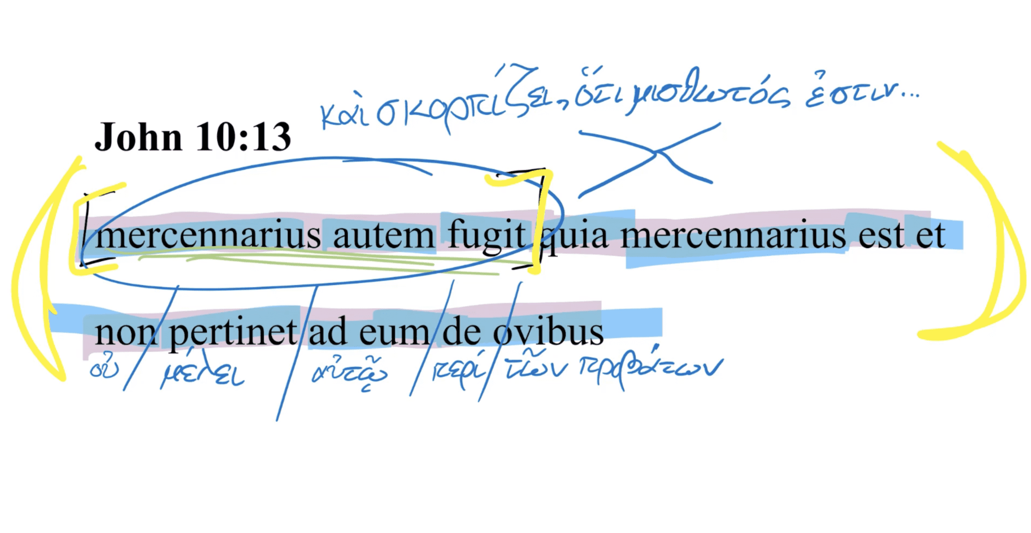 John 10:13 Latin Vulgate | Daily Dose of Latin