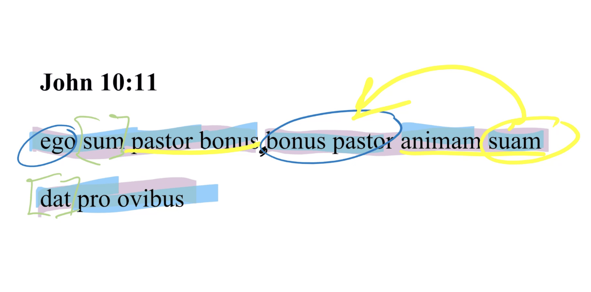 John 10:11 Latin Vulgate | Daily Dose of Latin