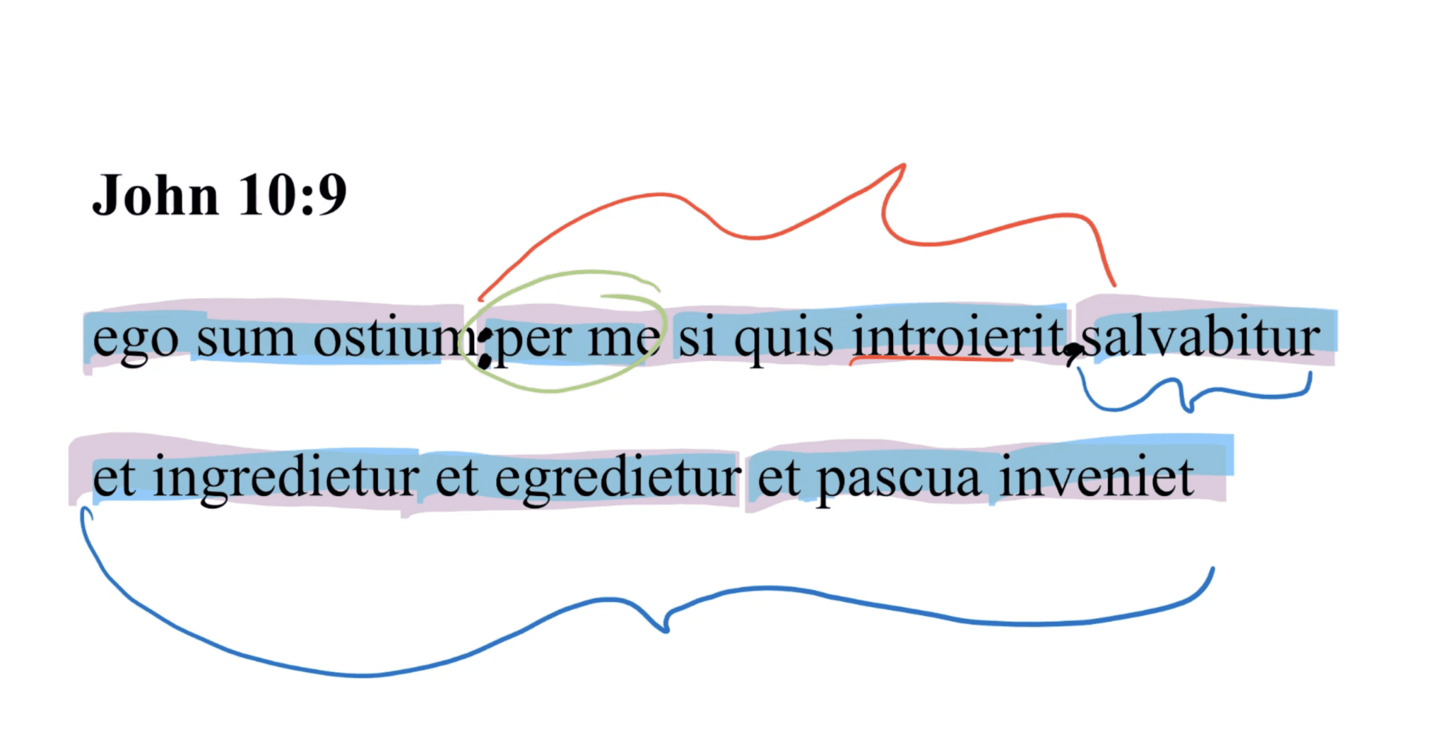 John 10:9 Latin Vulgate | Daily Dose of Latin