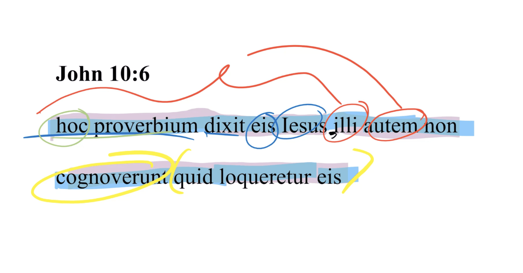 John 10:6 Latin Vulgate | Daily Dose of Latin
