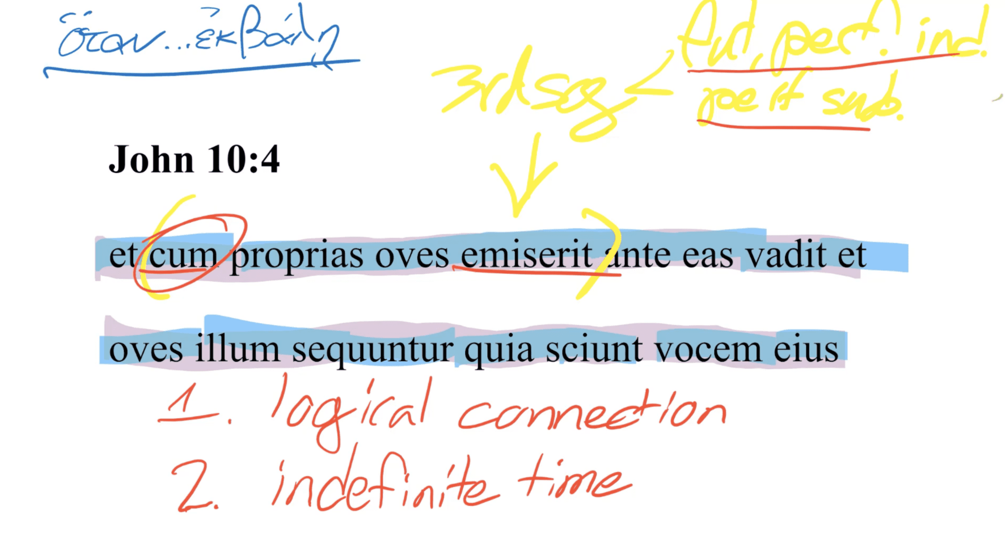 John 10:4 Latin Vulgate | Daily Dose of Latin