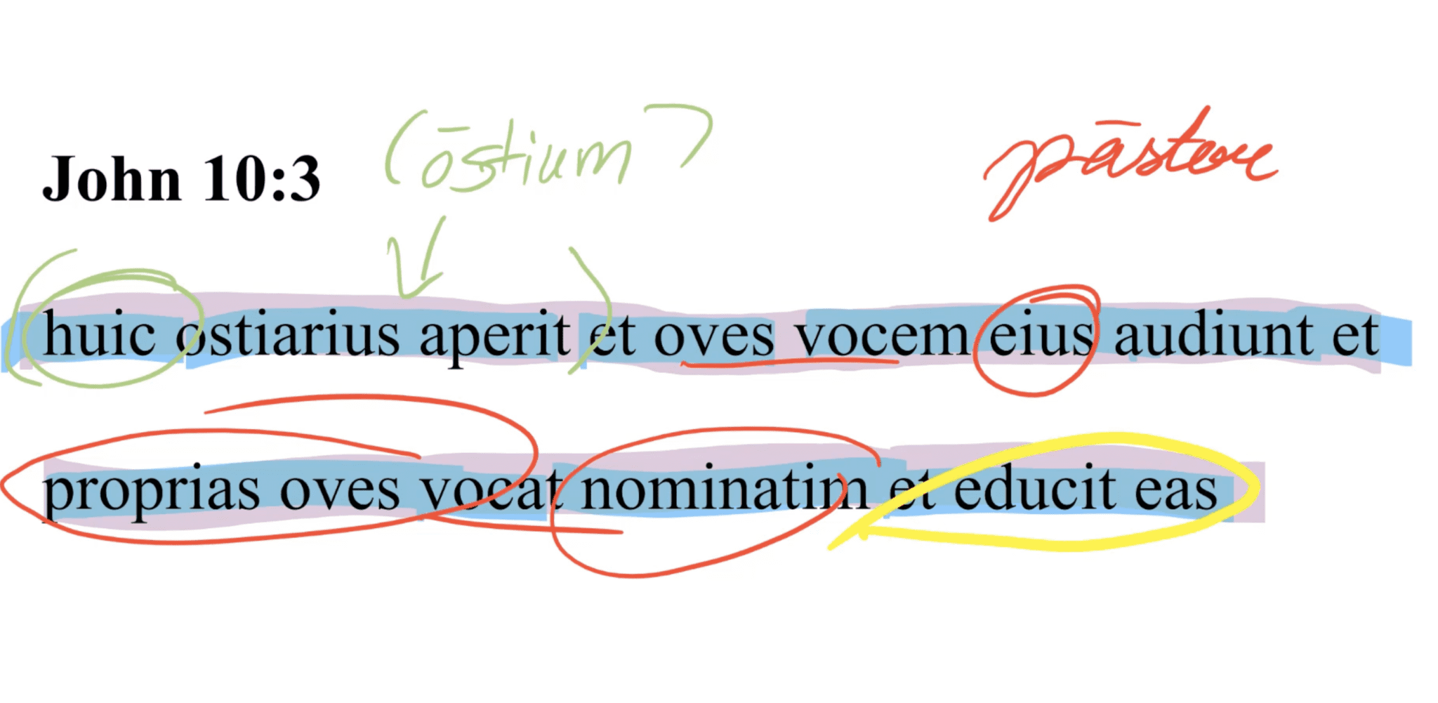 John 10:3 Latin Vulgate | Daily Dose of Latin
