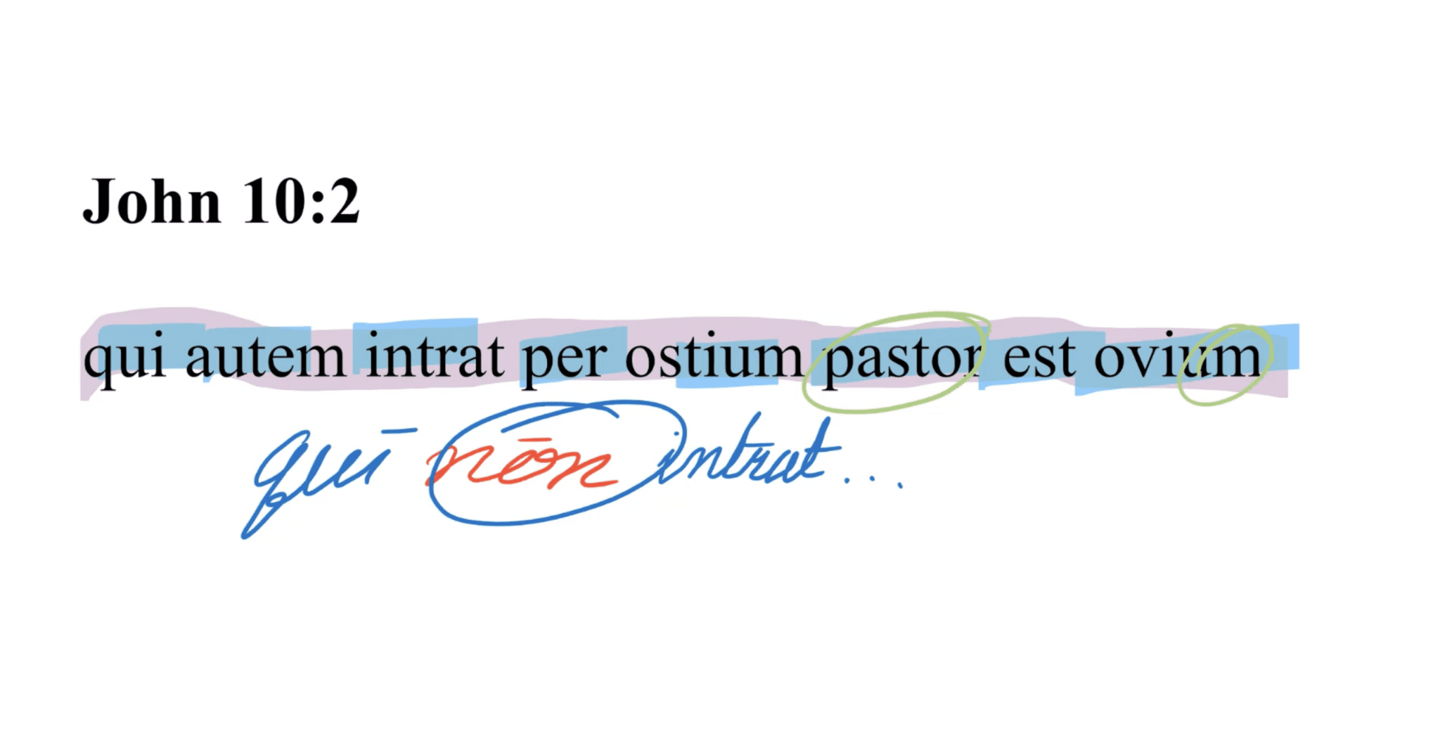 John 10:2 Latin Vulgate | Daily Dose of Latin