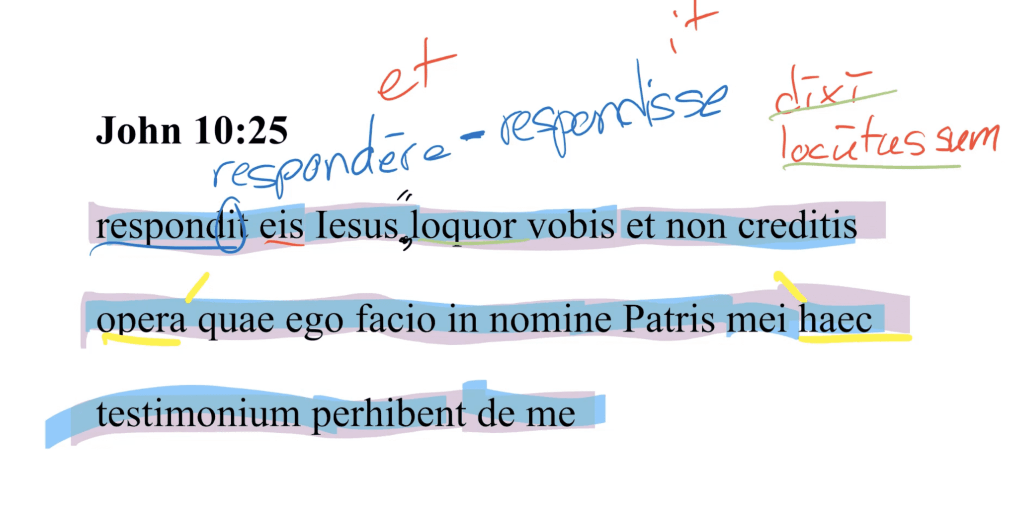 John 10:25 Latin Vulgate | Daily Dose of Latin