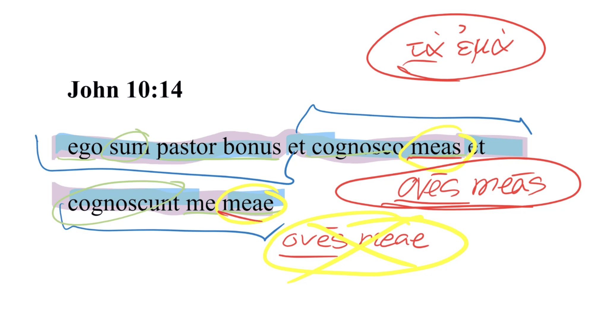 John 10:14 Latin Vulgate | Daily Dose of Latin