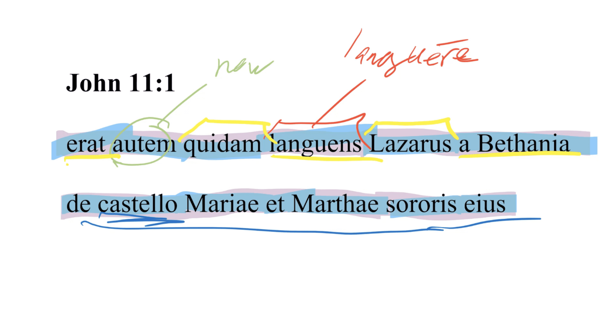 John 11:1 Latin Vulgate | Daily Dose of Latin