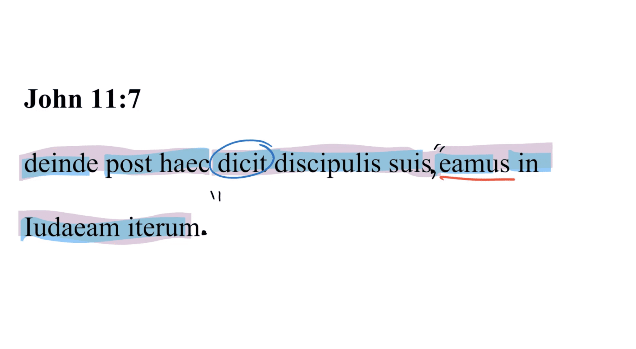 John 11:7 Latin Vulgate | Daily Dose of Latin