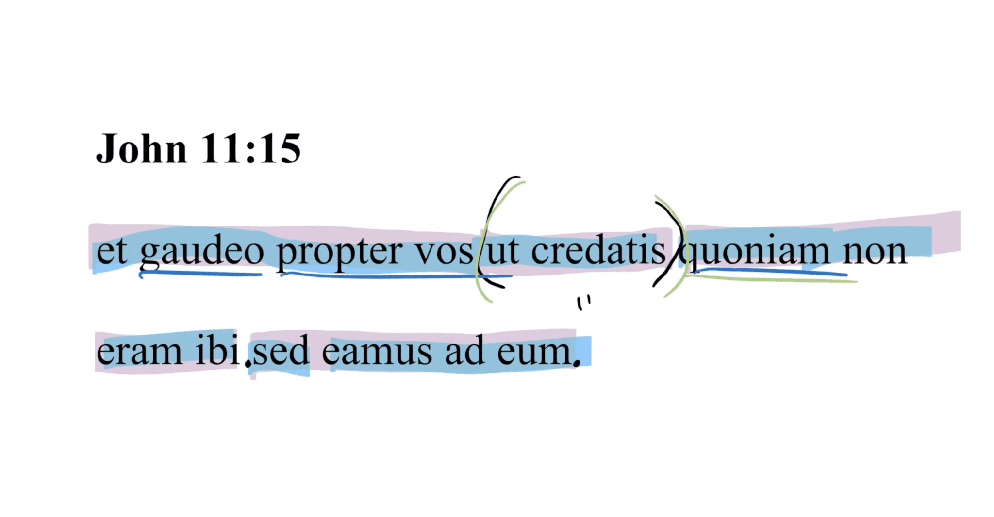 John 11:15 Latin Vulgate | Daily Dose of Latin