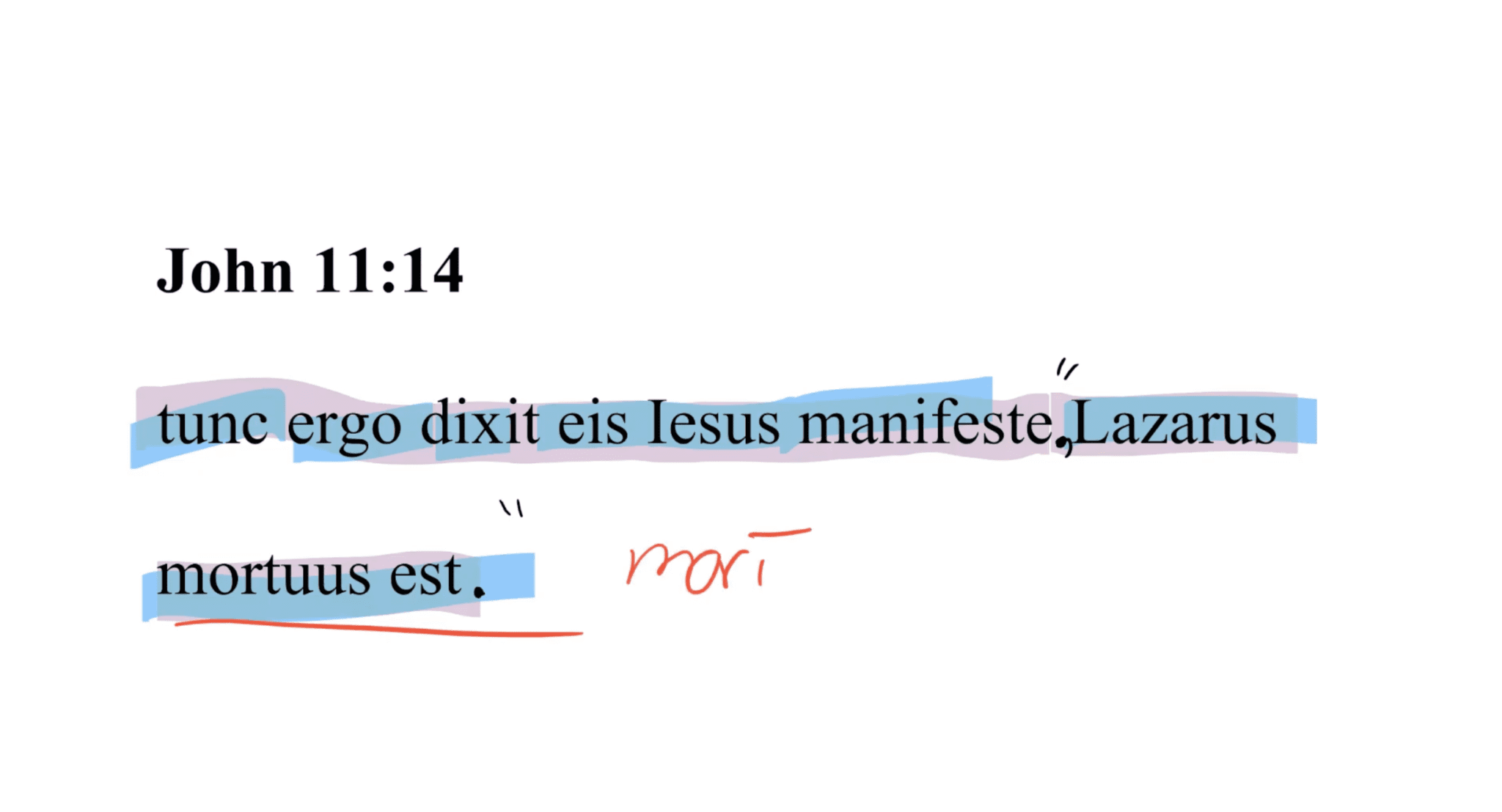 John 11:14 Latin Vulgate | Daily Dose of Latin