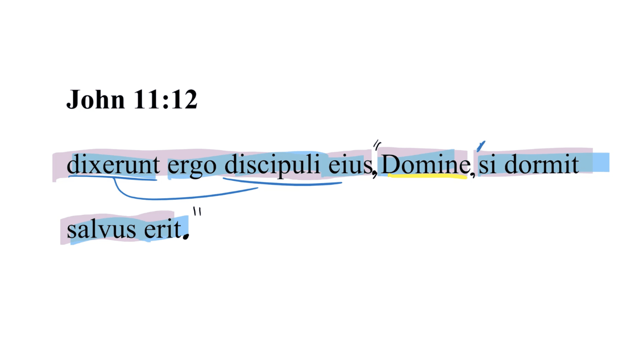 John 11:12 Latin Vulgate | Daily Dose of Latin