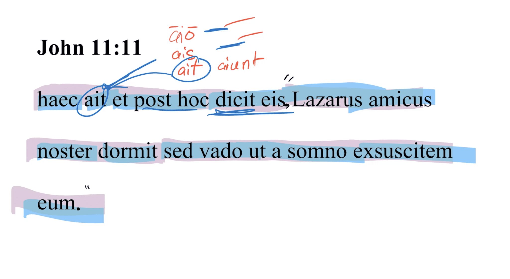 John 11:11 Latin Vulgate | Daily Dose of Latin