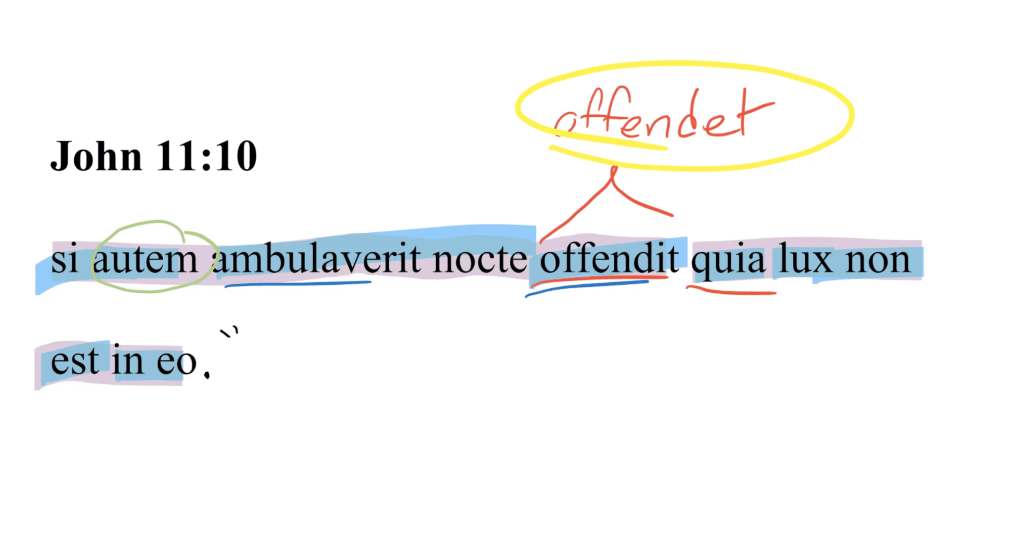 John 11:10 Latin Vulgate | Daily Dose of Latin