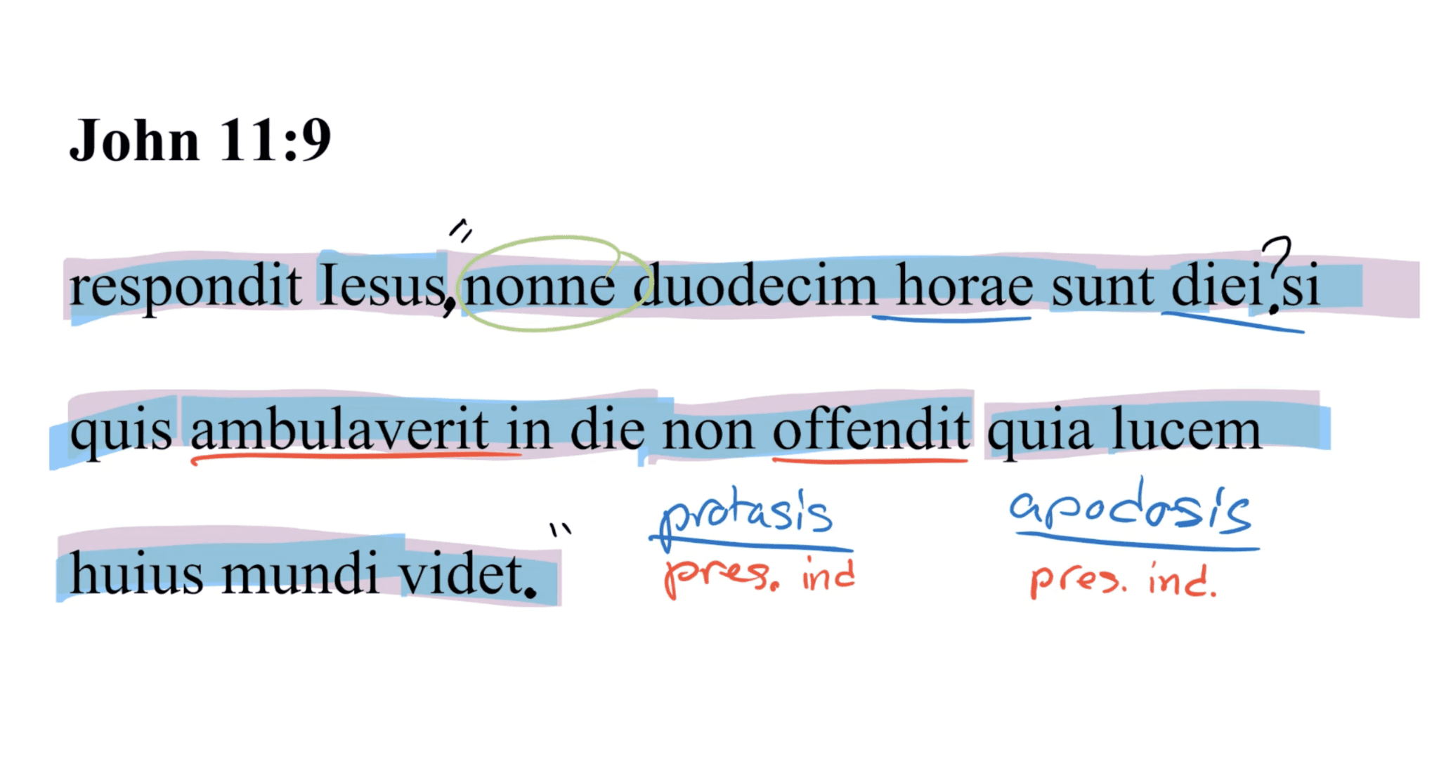 John 11:9 Latin Vulgate | Daily Dose of Latin