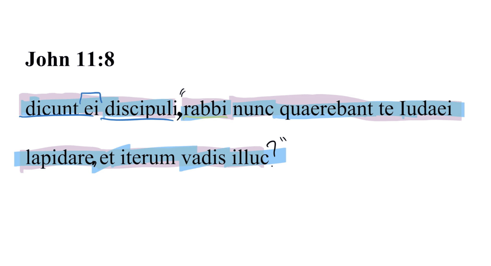 John 11:8 Latin Vulgate | Daily Dose of Latin