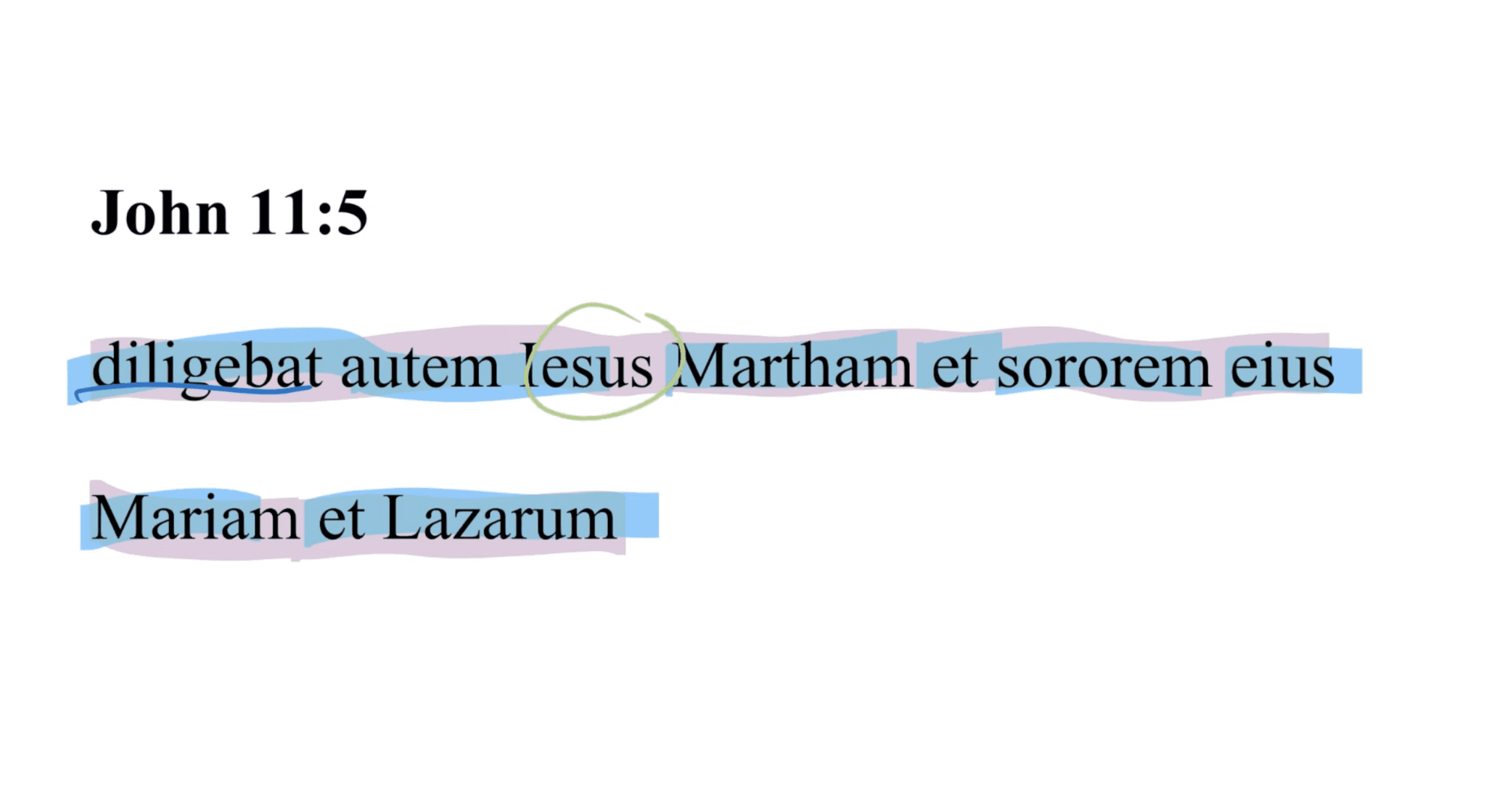 John 11:5 Latin Vulgate | Daily Dose of Latin