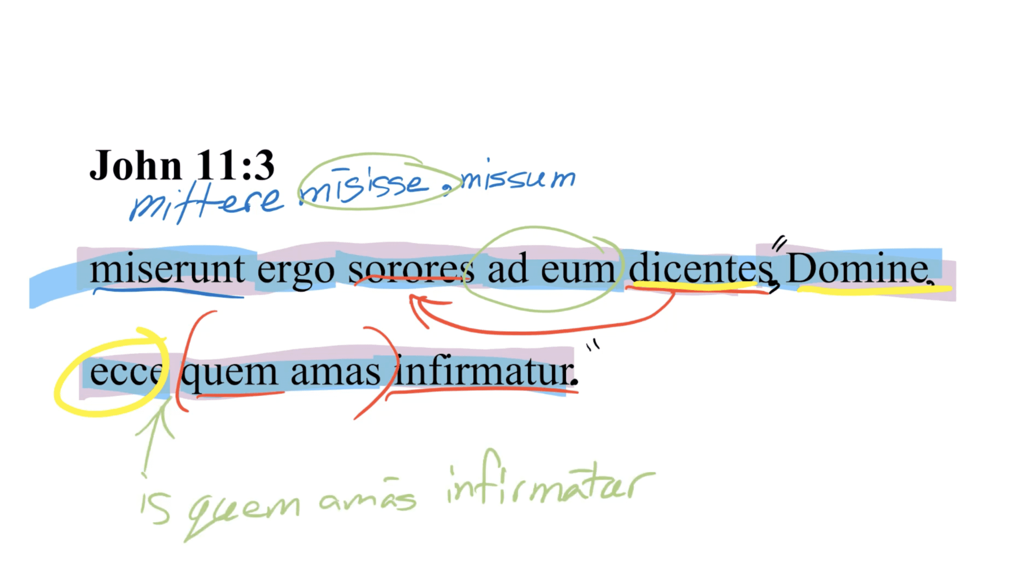 John 11:3 Latin Vulgate | Daily Dose of Latin