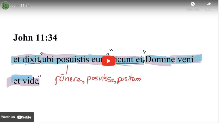 John 11:34 Latin Vulgate | Daily Dose of Latin