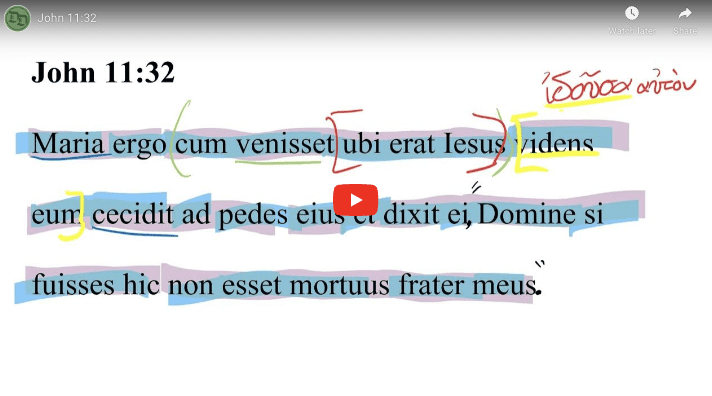 John 11:32 Latin Vulgate | Daily Dose of Latin