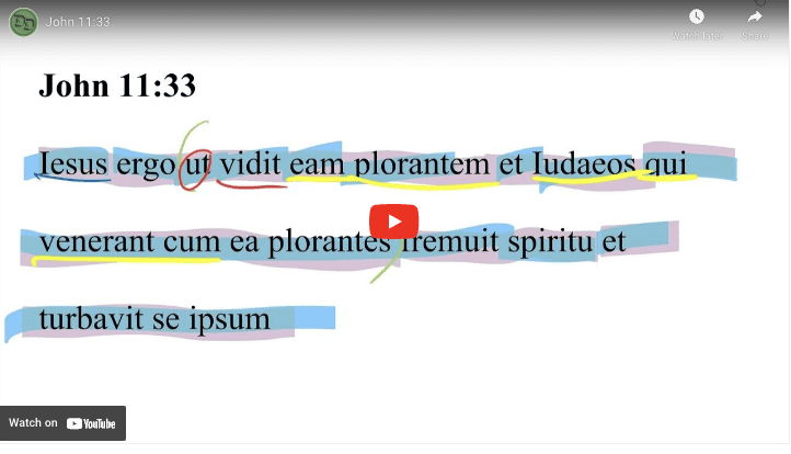 John 11:33 Latin Vulgate | Daily Dose of Latin
