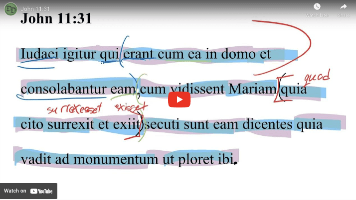 John 11:31 Latin Vulgate | Daily Dose of Latin