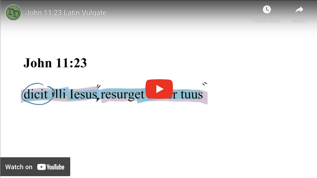 John 11:23 Latin Vulgate | Daily Dose of Latin