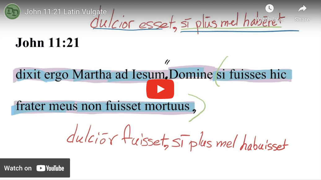 John 11:21 Latin Vulgate | Daily Dose of Latin