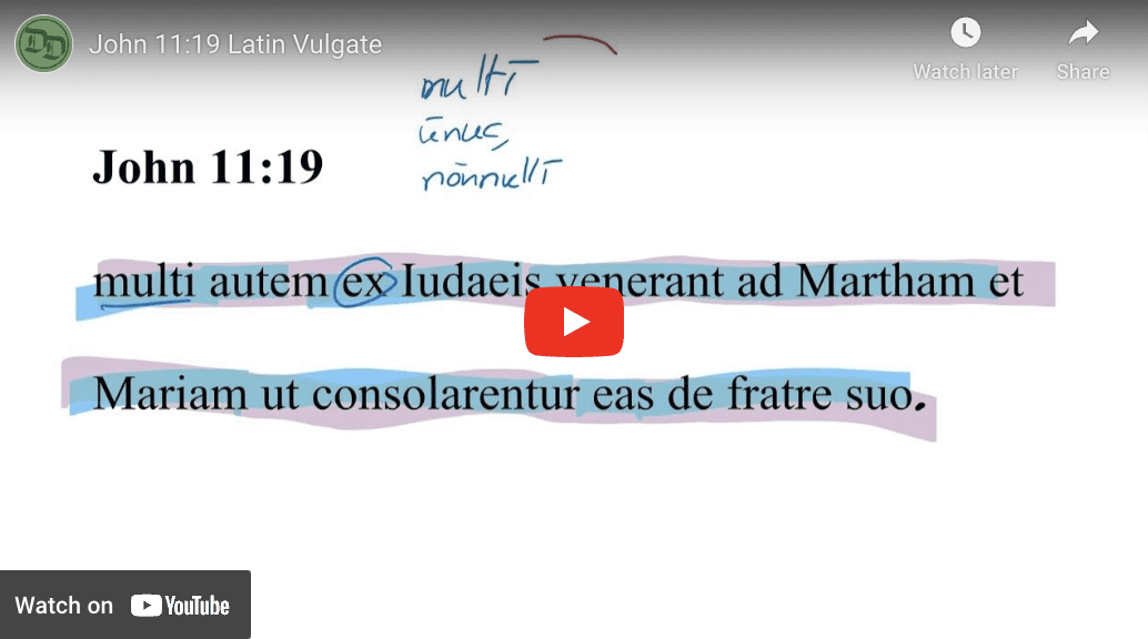 John 11:19 Latin Vulgate | Daily Dose of Latin