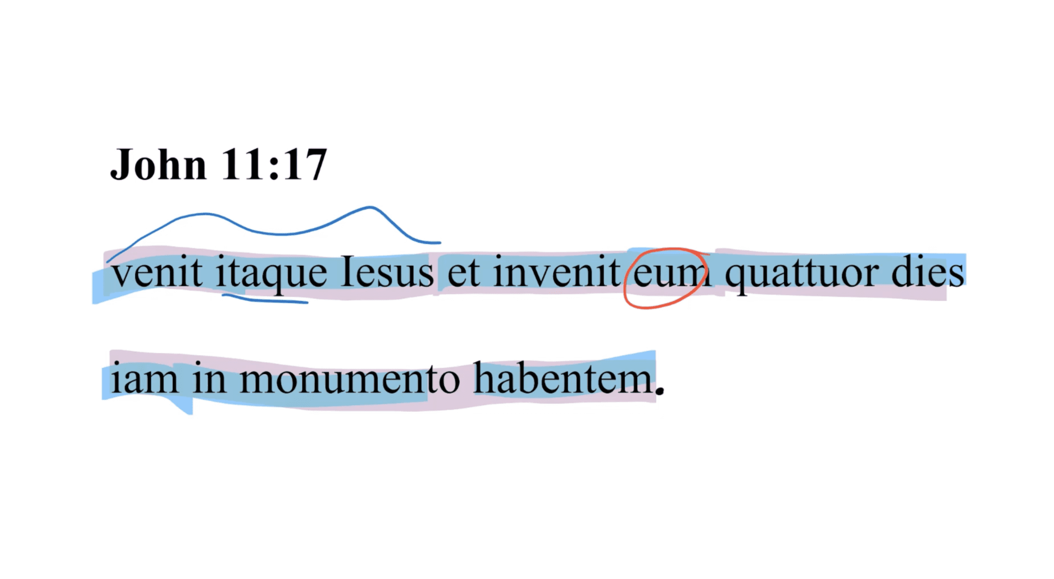 John 11:17 Latin Vulgate | Daily Dose of Latin