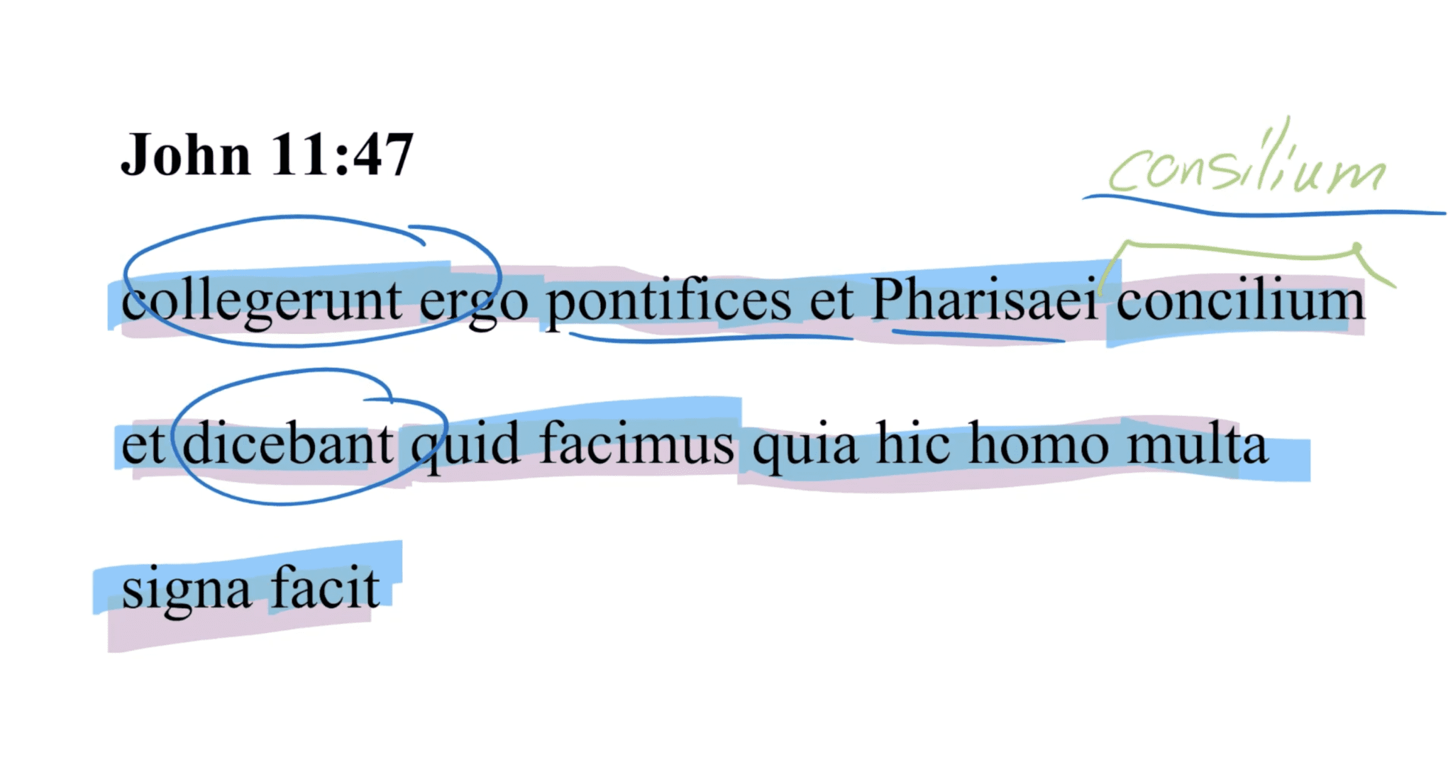 John 11:47 Latin Vulgate | Daily Dose of Latin