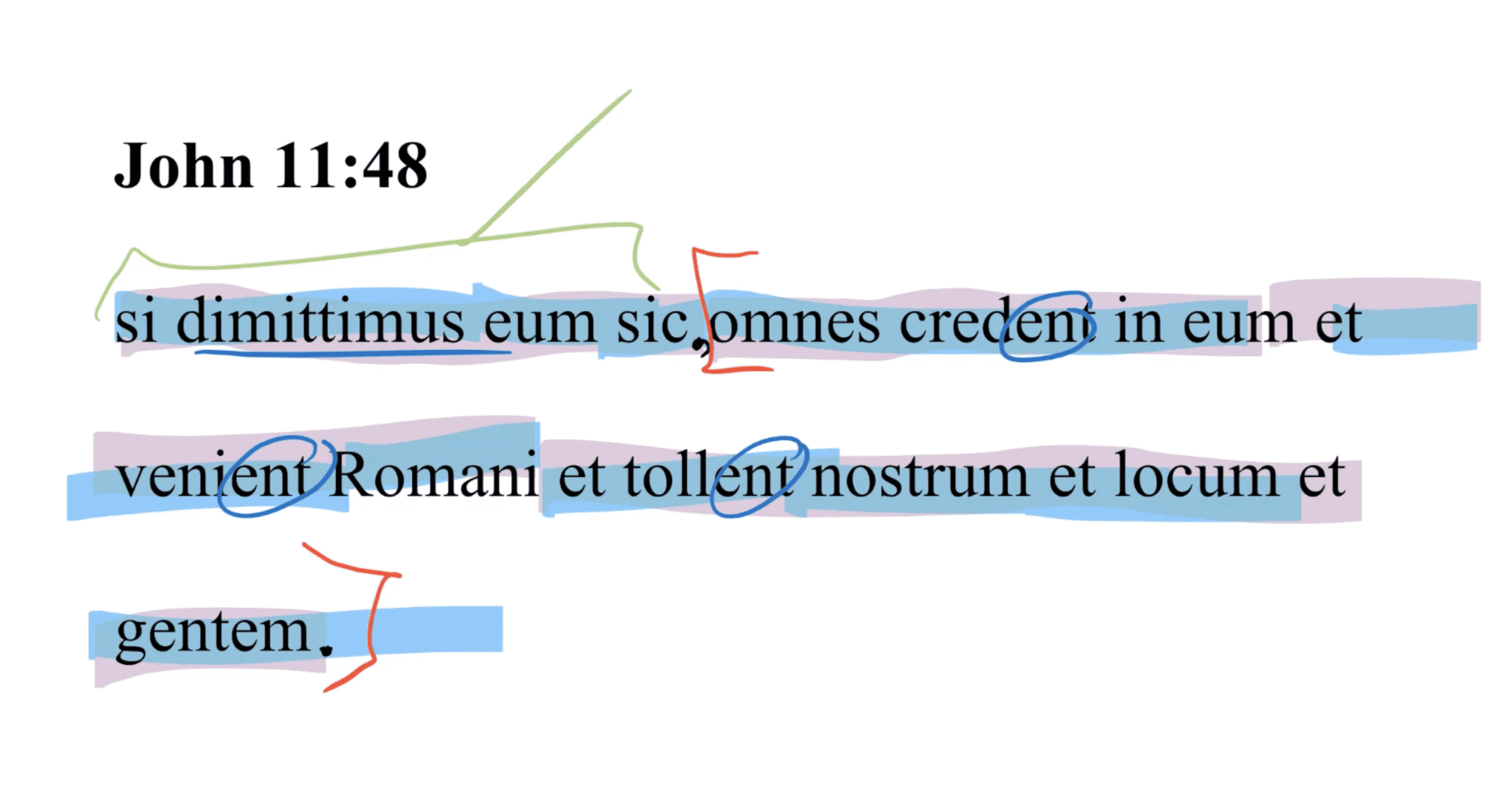 John 11:48 Latin Vulgate | Daily Dose of Latin
