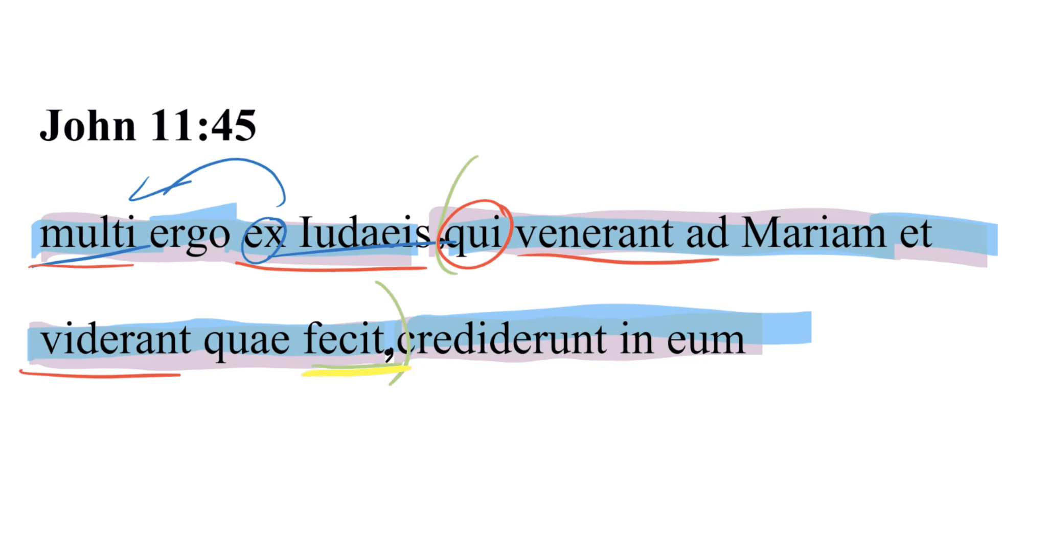 John 11:45 Latin Vulgate | Daily Dose of Latin
