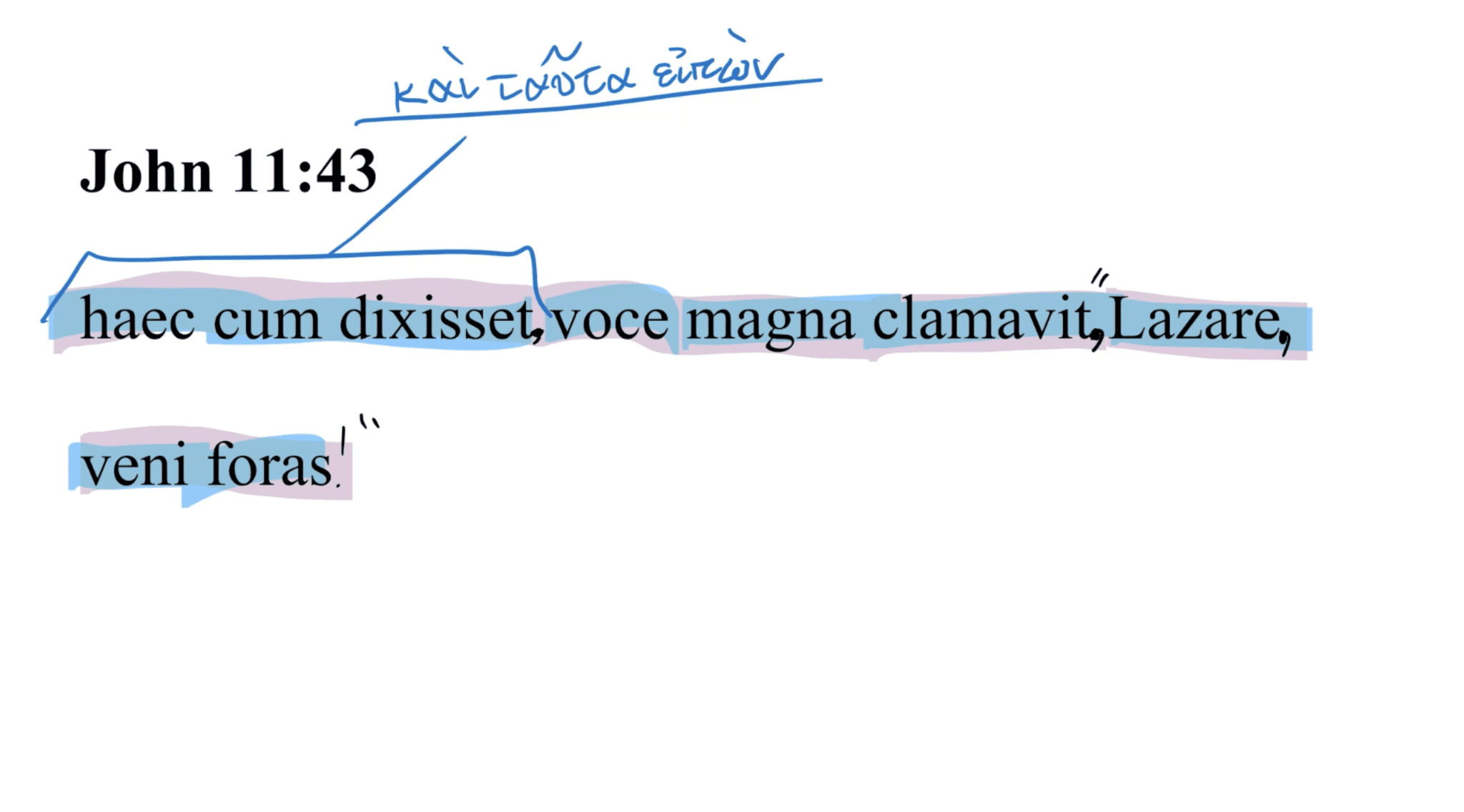John 11:43 Latin Vulgate | Daily Dose of Latin
