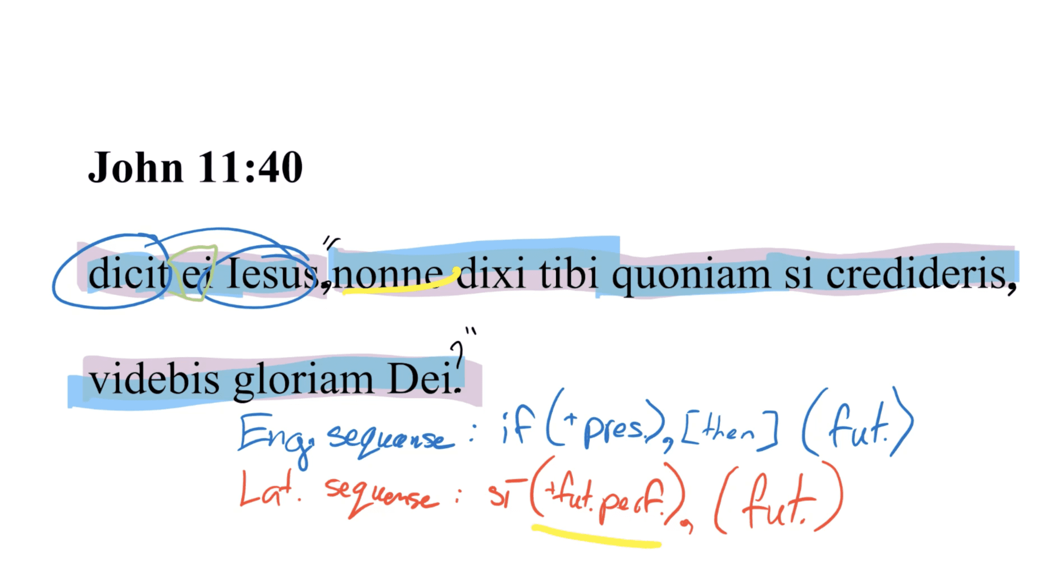 John 11:40 Latin Vulgate | Daily Dose of Latin