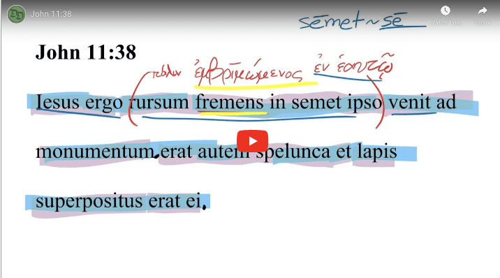 John 11:38 Latin Vulgate | Daily Dose of Latin