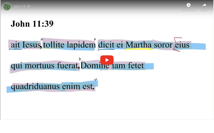 John 11:39 Latin Vulgate | Daily Dose of Latin