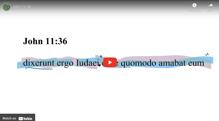 John 11:36 Latin Vulgate | Daily Dose of Latin