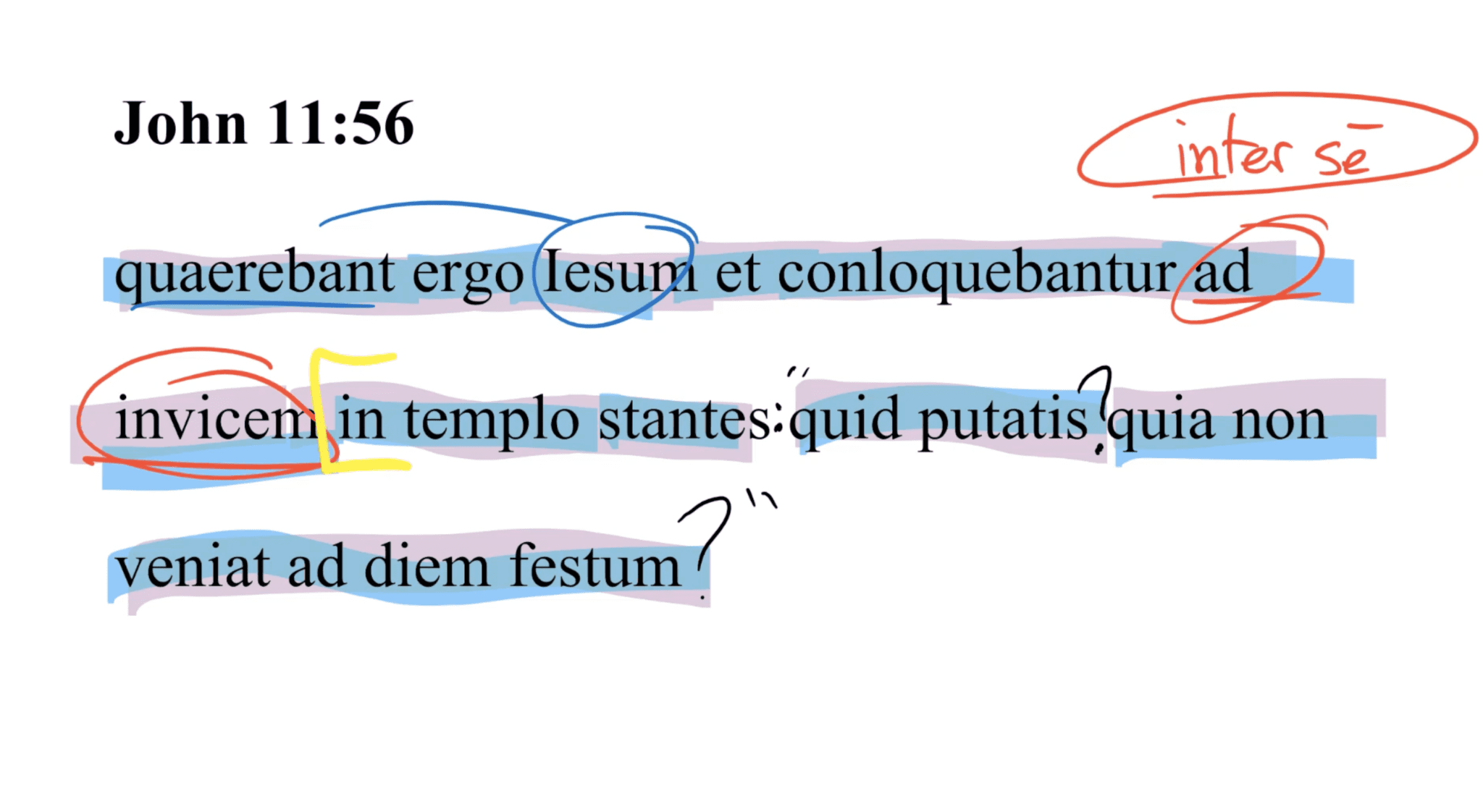 John 11:56 Latin Vulgate | Daily Dose of Latin