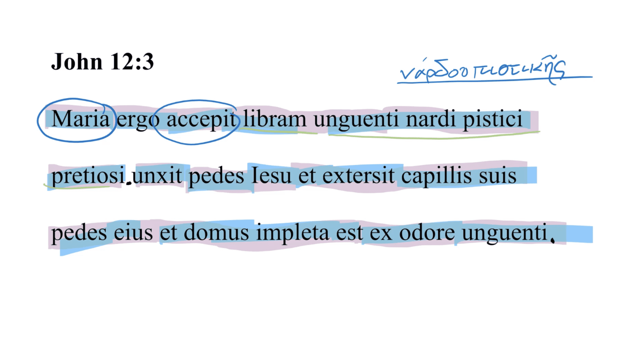 John 12:3 Latin Vulgate | Daily Dose of Latin